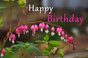 HBDAY.ART - Happy Birthday Greeting Cards, Pictures,Wishes,Messages.